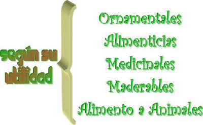 LAS PLANTAS, LOS ANIMALES Y EL MEDIO DONDE VIVEN. :: ¡SUMÉRGETE EN LA ...